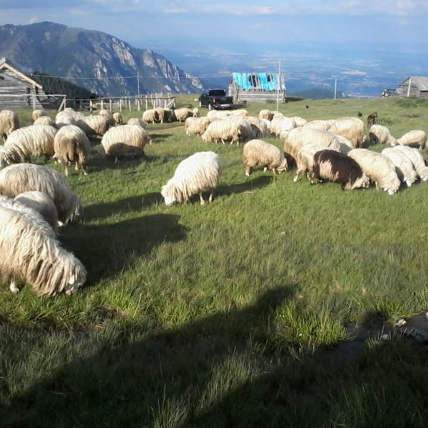 Katun Road Belegu Mountains | KATUN ROADS