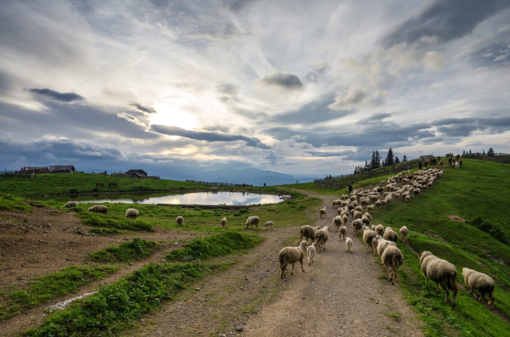 Sezonalnost katuna | KATUN ROADS