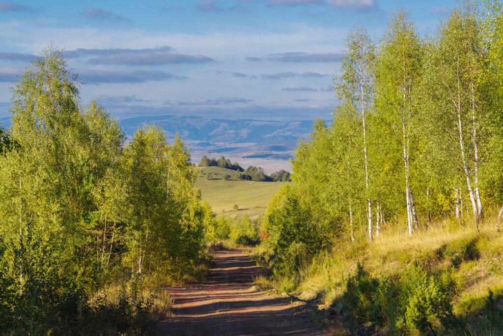 Katun Road Pešter Pastures | KATUN ROADS