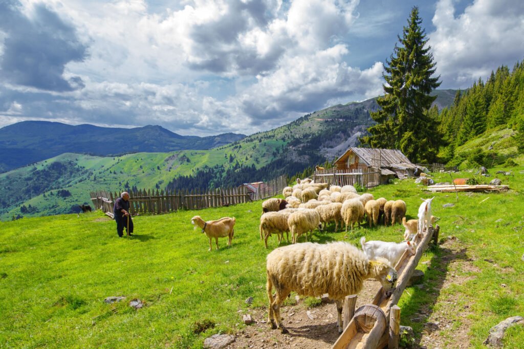 Katun Road Borderline Heights | KATUN ROADS